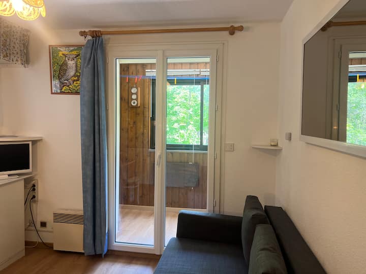 Logement éQuipé Aux Pieds Des Pistes Du Seignus - Allos