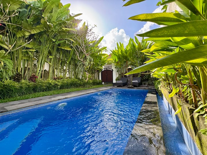 Discount Ubud Private Villa & Pool,free Breakfast - Bali