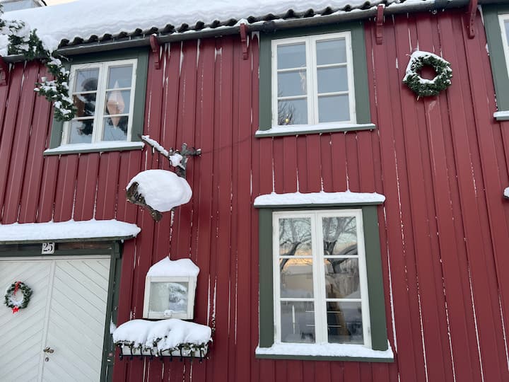 I Trondheim Sentrum - Trondheim