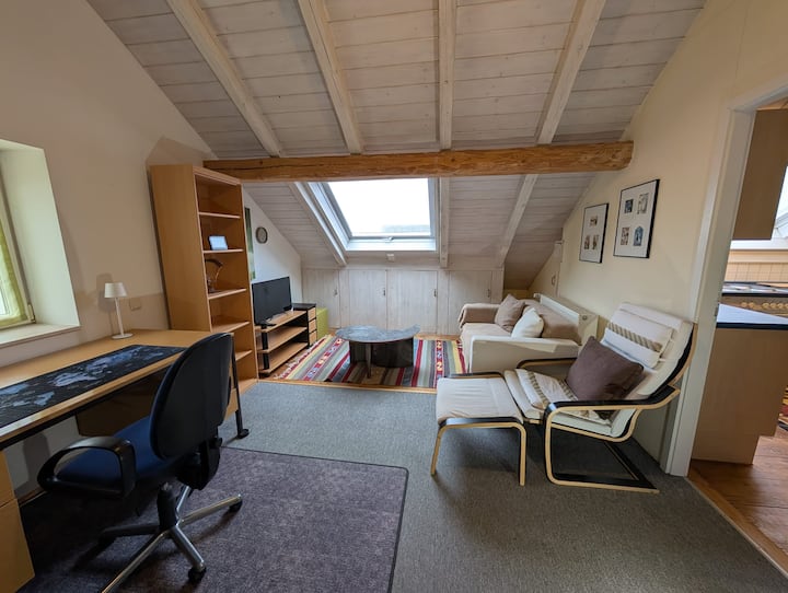 Charmante Atelierwohnung Nahe Landshut - Landshut