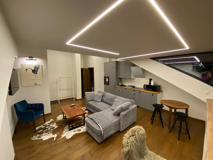 Museum Apartment - Kaunas