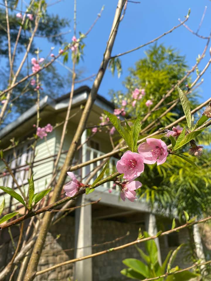 Auks Farm - Moho - Kalimpong