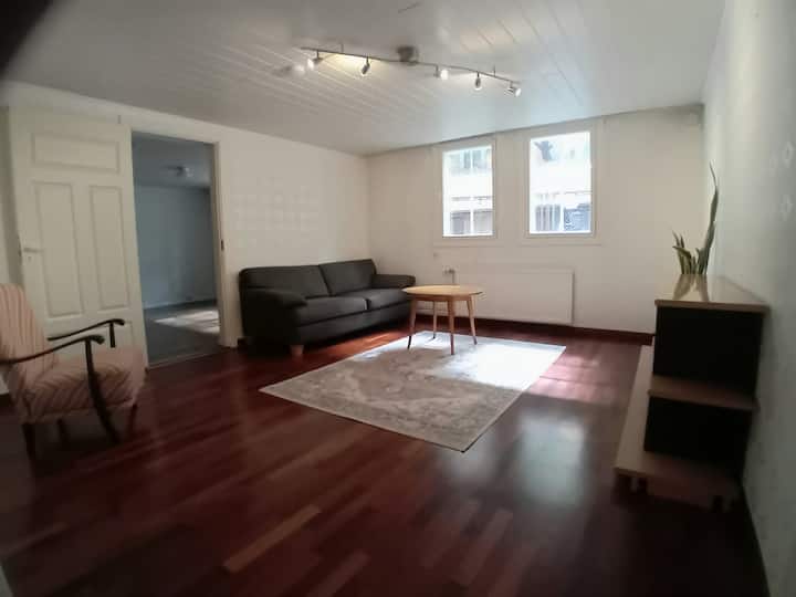 Three Rooms Apartment In The City Centre Of Turku - 土庫