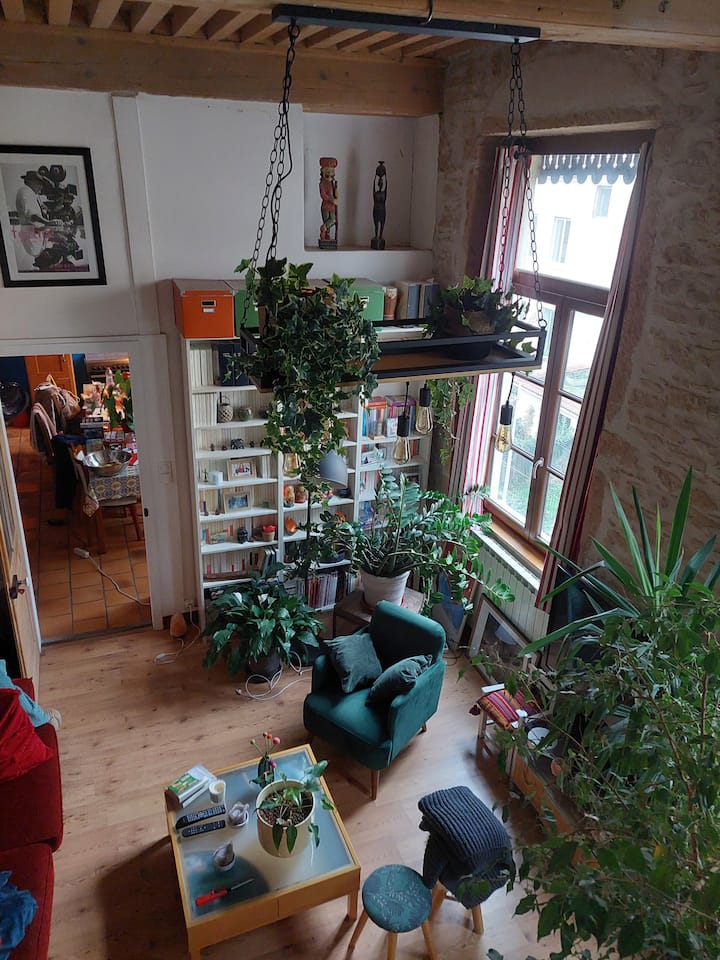 Vaste Appartement à La Croix Rousse - Lyon