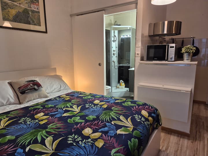 Molsheim Centre Ville - Cosy Studio De 17 M² - Molsheim