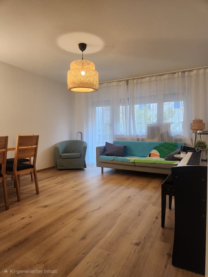 Central And Quiet. A Whole Apartment For Business - Bâle