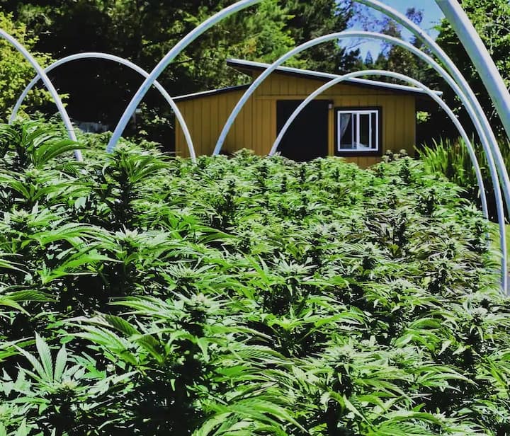 Cannabis Farm Studio - Outdoor Soaking Tub - Humboldt County, CA