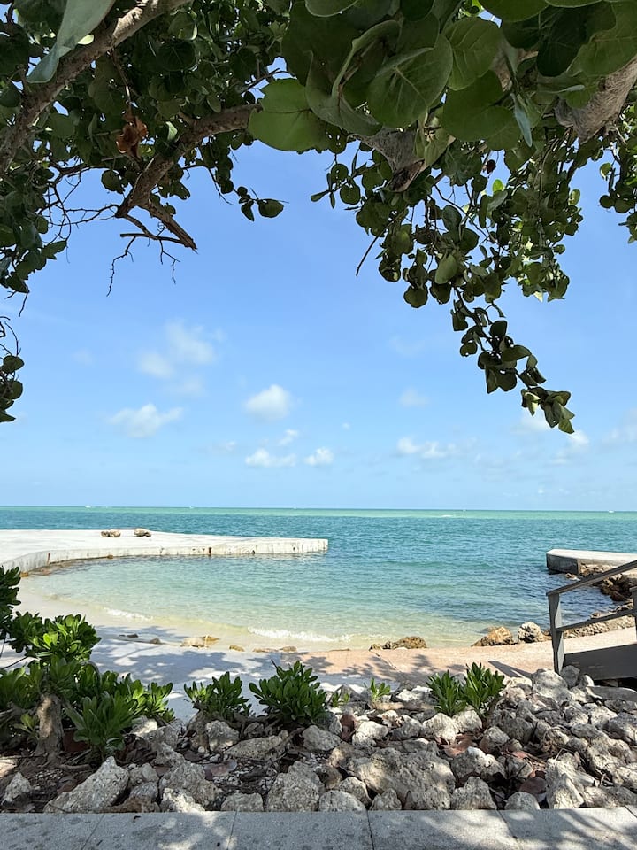 Siesta Key Town House With Private Fishing Pier - 시에스타 케이