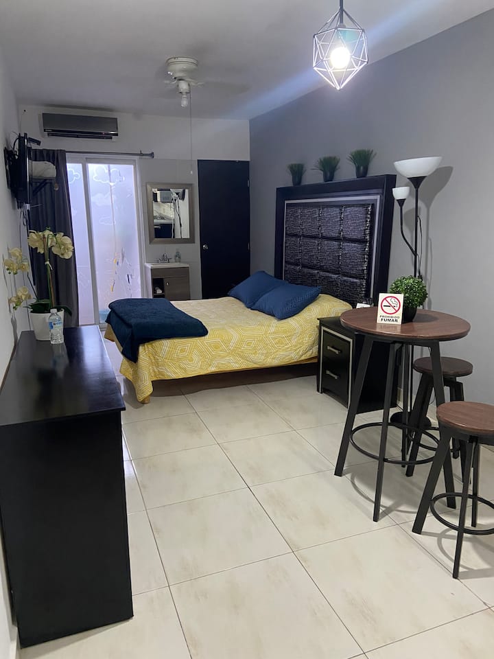 Increíble Loft Calle 25 Cerca De Imss 16 - Depto 1 - Torreón