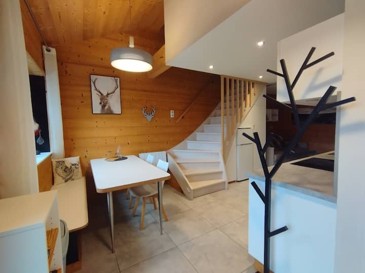 Gîte Tout Confort 1 Chambre Et Terrasse - Vogesen