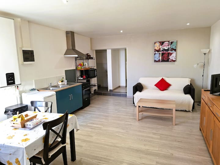 F2 50m2 éQuipé, Propre Et Fonctionel - Ampuis