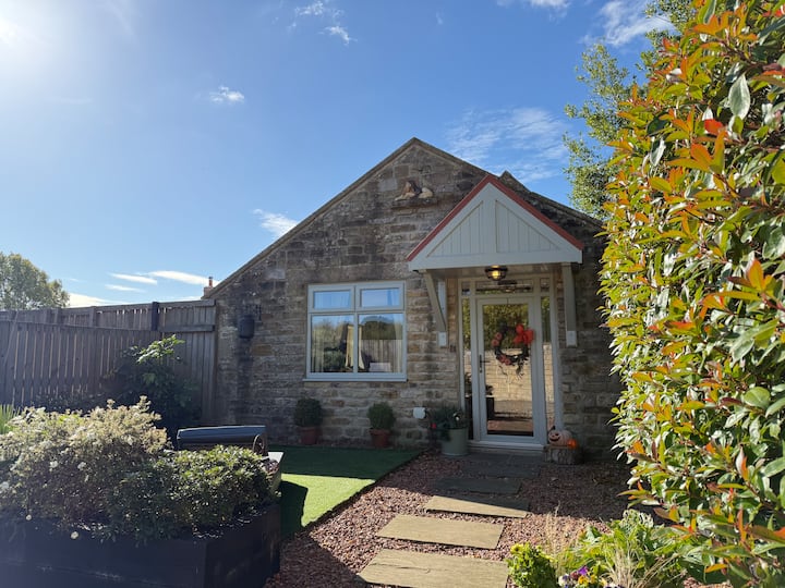 Exploring & Dog Walking On The Yorkshire Coast - Robin Hood's Bay