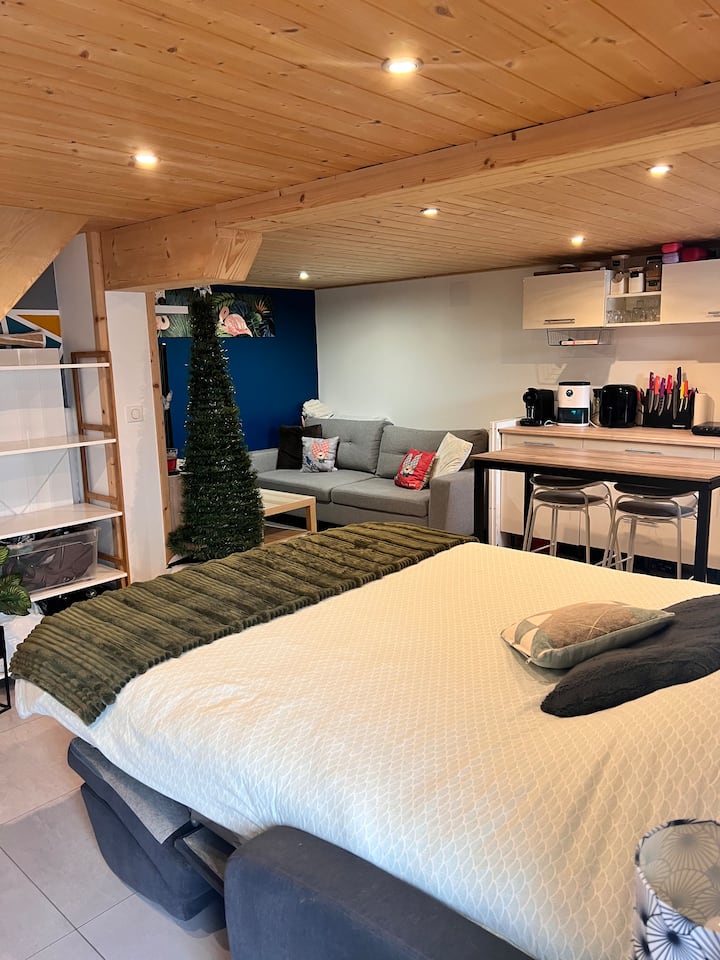 Studio Dans Maison Au Pied Des Montagnes - Thann