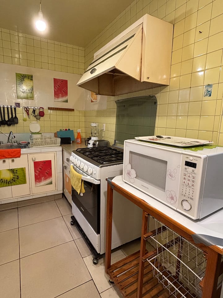 Spacious And Comfy Room, Beautiful Area - Mexico City