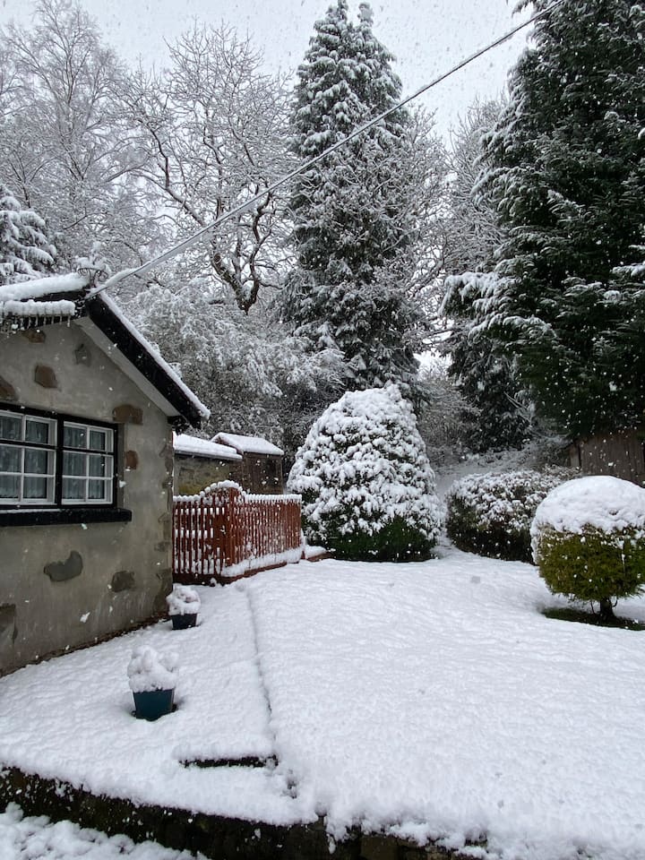 Cottage In Eryri, Snowdonia - Near Bala Lake. - Bala