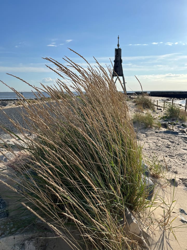 Wattenglück 3 Dachstudio Ferienwohnung In Cuxhaven - Duhnen