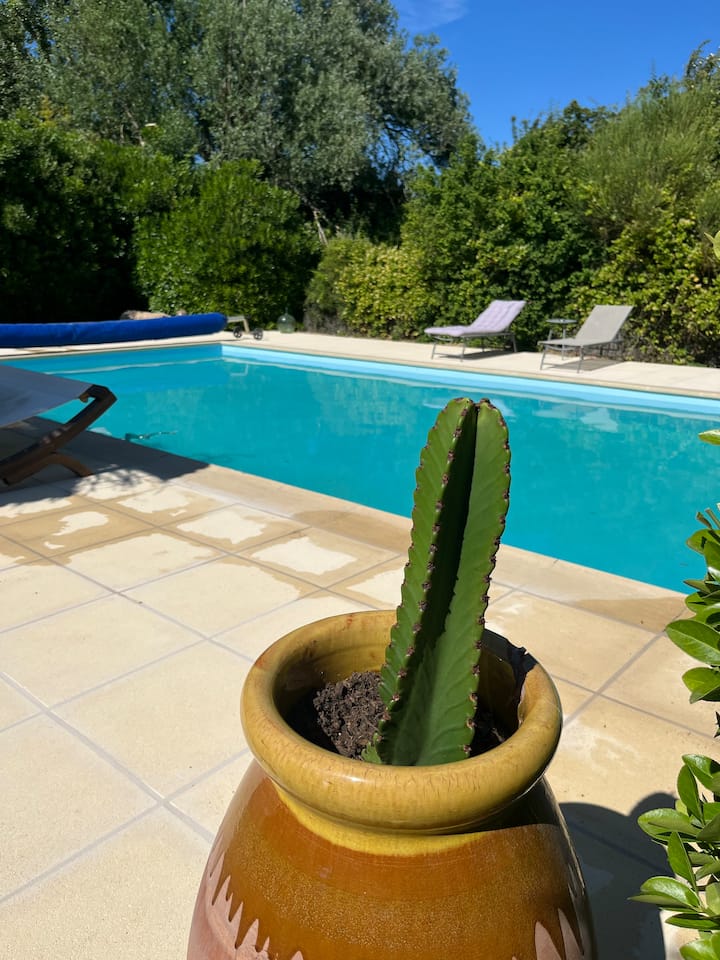 Maison Familiale En Provence-piscine Alpilles - Saint-Rémy-de-Provence