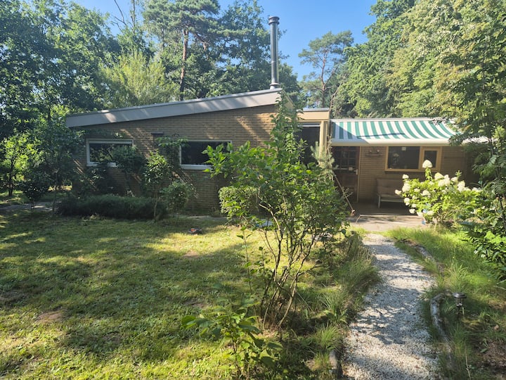 Rust En Ruimte In Een Natuurlijke Omgeving...! - Borculo