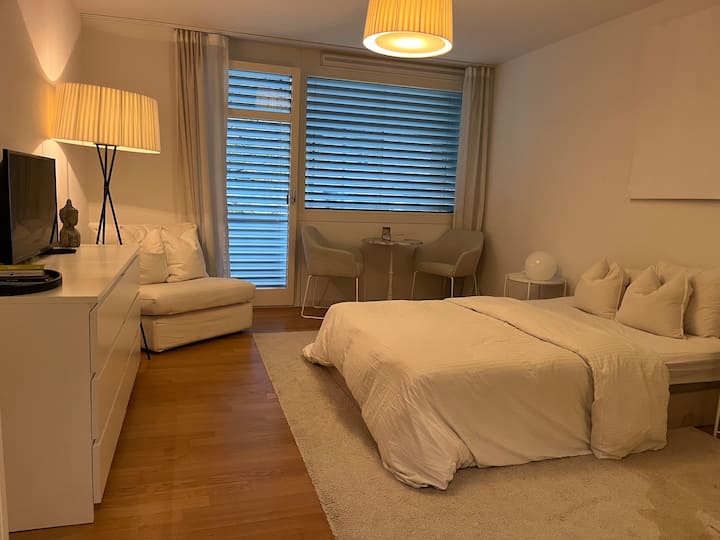 Chic Boutique Studio By The Opera & Bellevue - Zurich