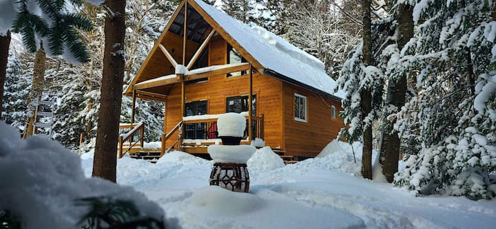 Le Refuge Du Pic Bois - Québec