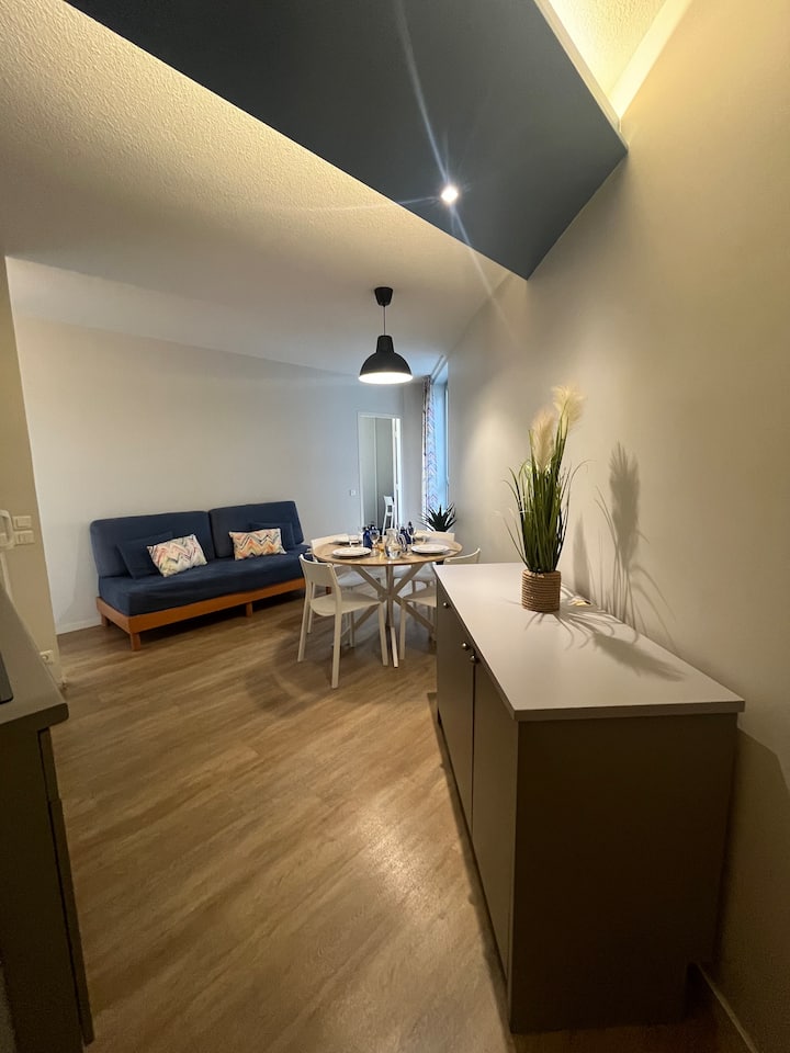 Appartement Lumineux Pour 3 Personnes - Ginebra