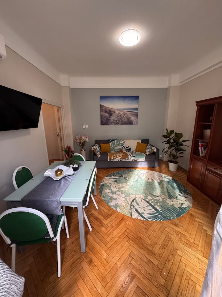 Joli Appartement - 尼斯
