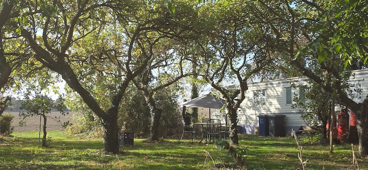 Orchard Escape! Comfortable 3 Bed Static Caravan - Cambrige (UK)