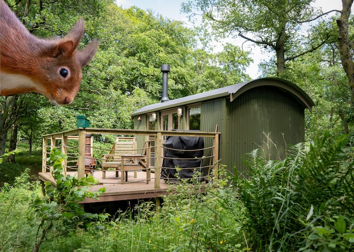 Thorneymire Woodland Retreat Shepherd's Hut - Yorkshire