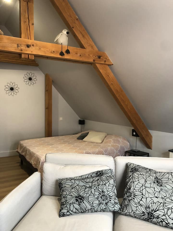 Loft Mansardé Romantique Alsace - Molsheim