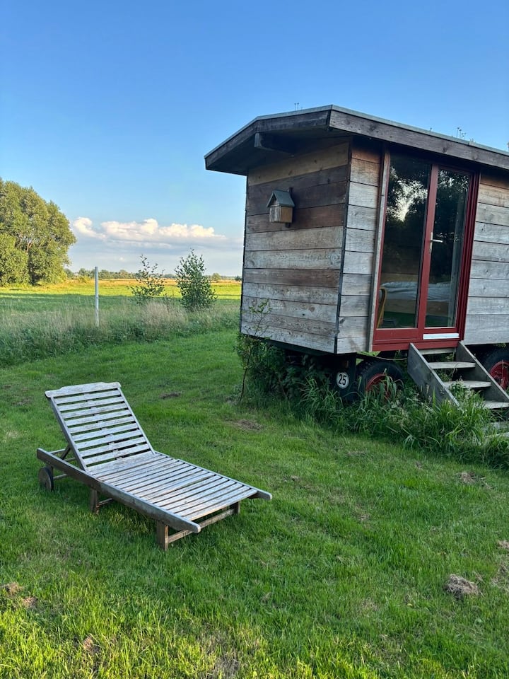 Tiny Traudel Auf Der Pferdekoppel - Deutschland