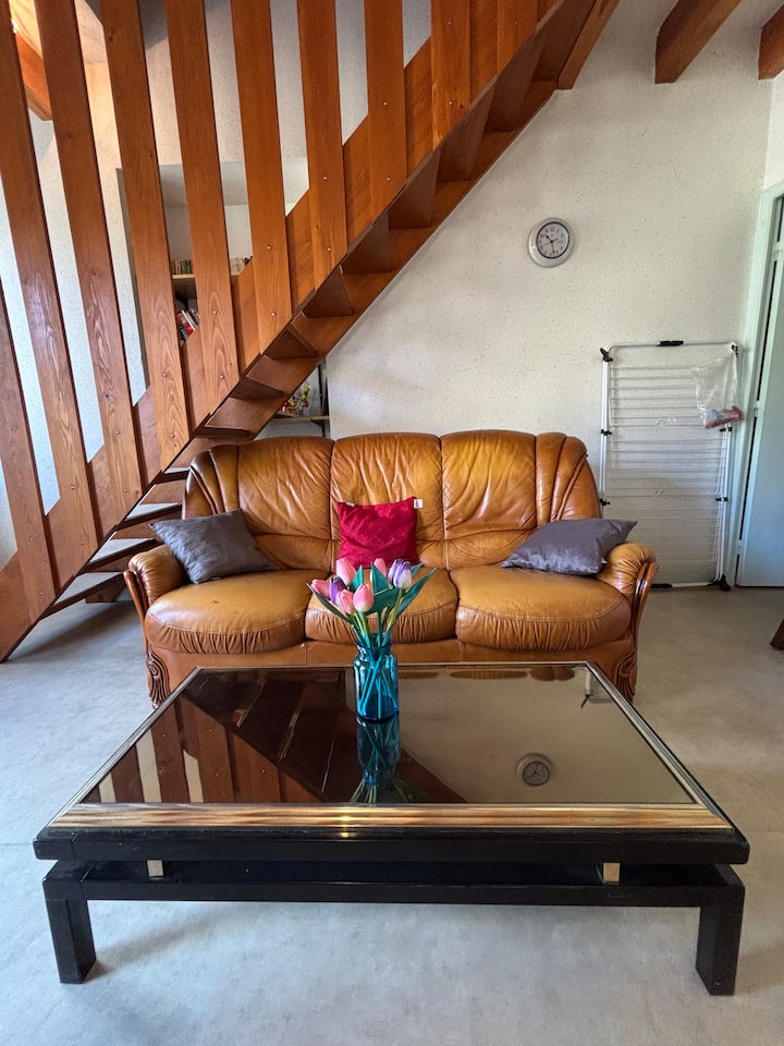 Les Oeillets - Clairvaux-les-Lacs