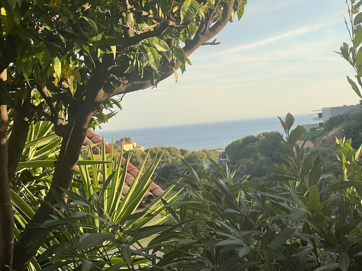 Agréable Grand T1 Lumineux Entre Mer Campagne - Saint-Laurent-du-Var
