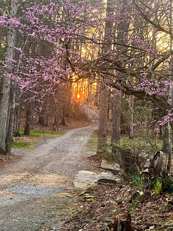Step Back In Time At Timberwinds Cottage - Bluestone Vineyard, Bridgewater