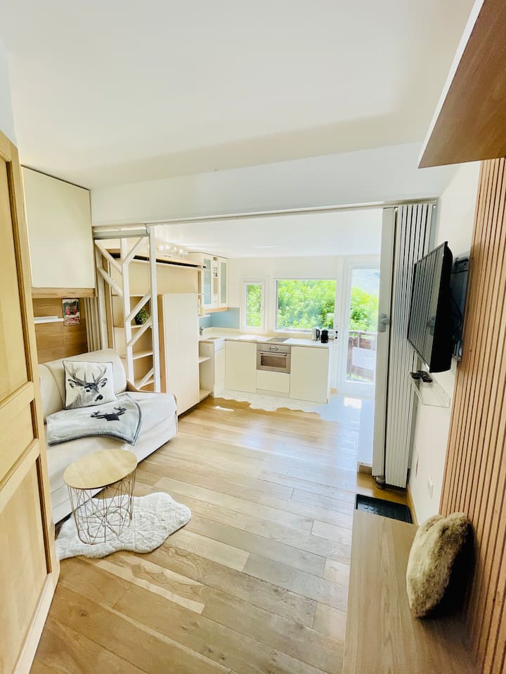 Superbe Studio Avoriaz Le Snow, Ski Aux Pieds - Avoriaz