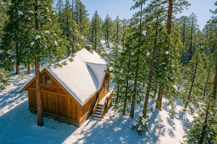 Pet-friendly, Fenced Yard Near Idyllwild Trails - Idyllwild-Pine Cove, CA