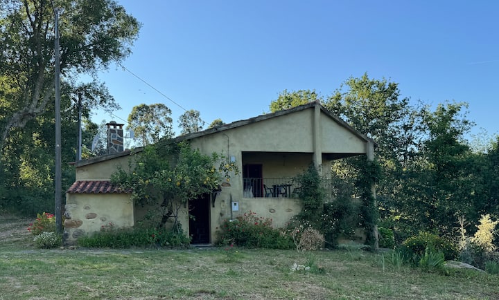 Cabana Na Floresta—  Refúgio Perfeito Na Natureza! - Arganil