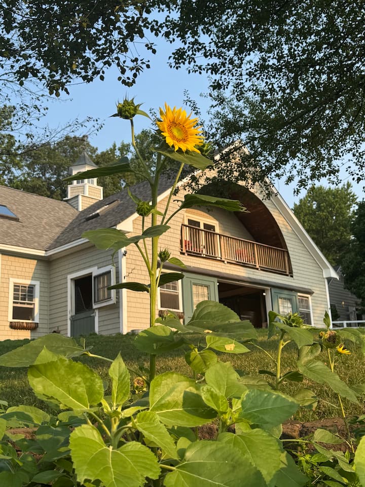 Mountaintop Horse Farm With Pool - Bloomfield, CT