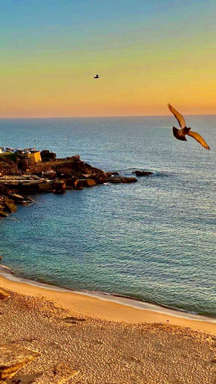 Paradise For A Surfer - Ericeira