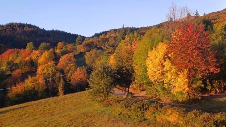 Abitazione Della Rosa Antica - Abetone