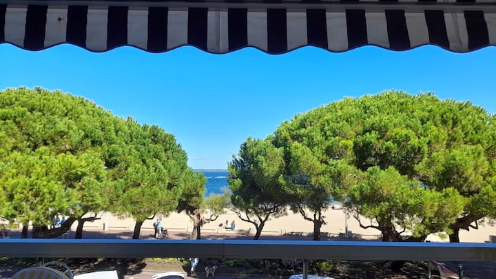 Spacieux Appartement Arcachon Vue Bassin - Arcachon