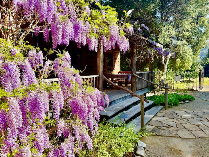 Private Creekside Cabin • Gated • Near Avila Beach - San Luis Obispo, CA