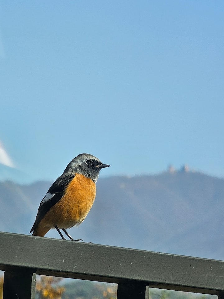 [New휘게양평]o눈덮힌중미산뷰o넓은단독마당o O애견동반가능o별자리맛집 - Corea del Sur