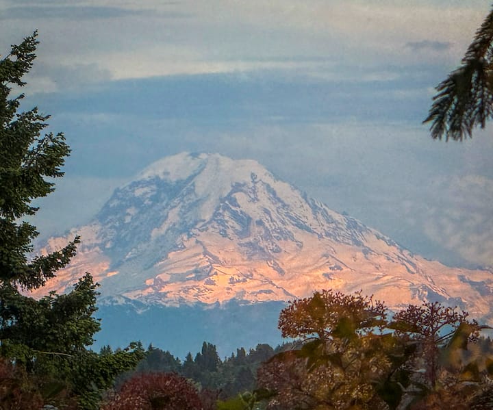 Luxury Home In Quiet West Seattle Neighborhood - Seattle, WA