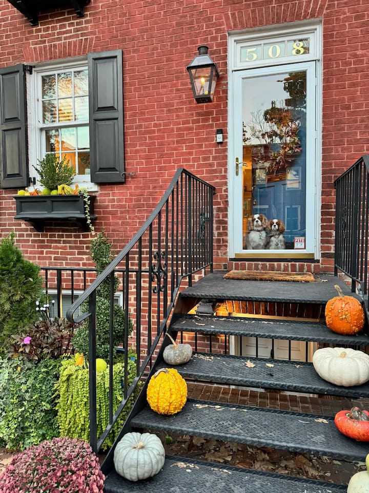 Dogs Ok, Walkable To Metro/king St, Full Kitchen, - Alexandria, VA