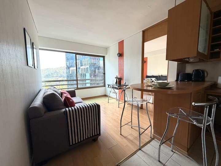 Cómodo Depto. En Las Condes A Pasos De C. Center 2 - Santiago