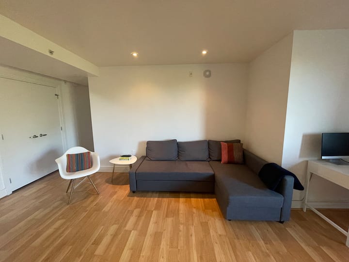 Spacious Studio By The Wharf In Sw Waterfront Dc - Washington, D.C.