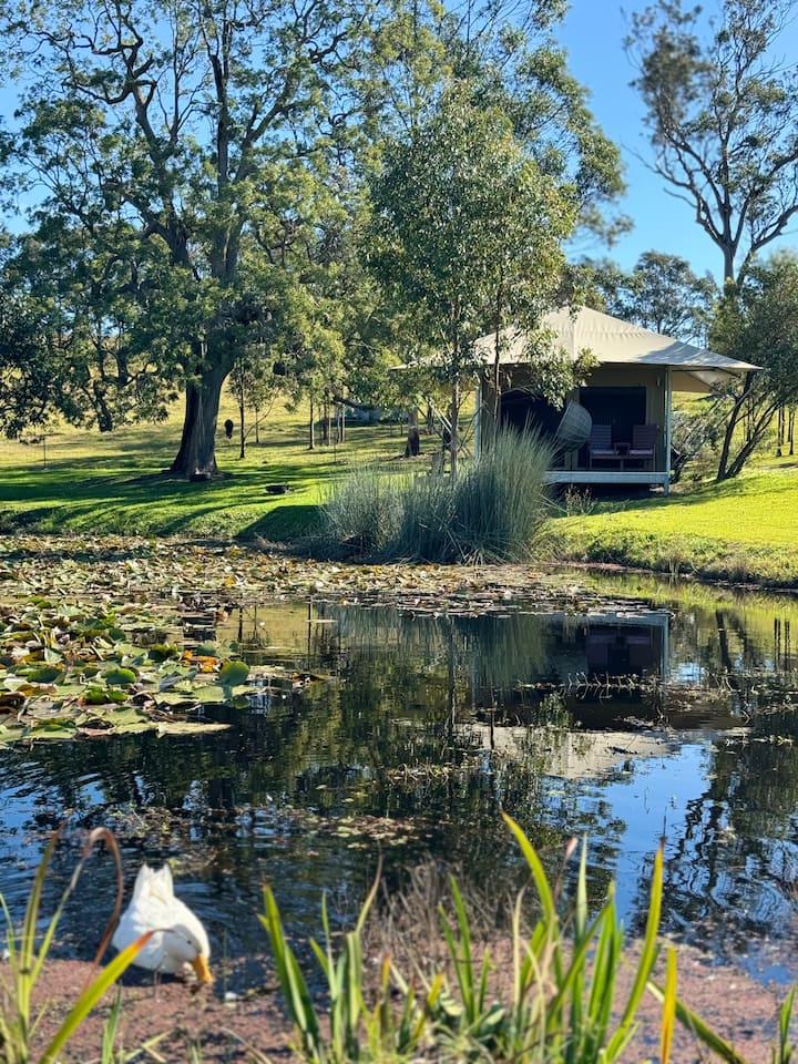 Donnybrook Eco Retreat - Billabong - Lochinvar
