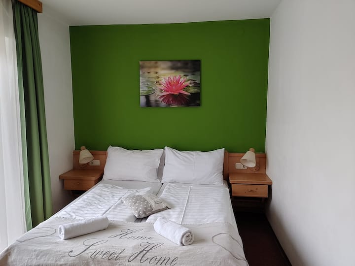 One-bedroom Apartment For 5 People With Kitchen - Hallstatt
