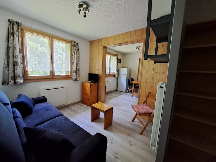 Studio 4/5 Pers. Parking + Skibus Gratuit Wifi - Les Carroz d'Arâches