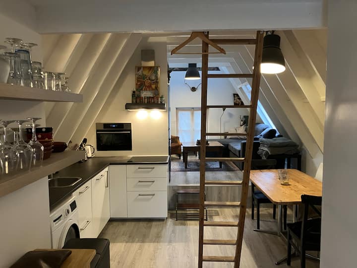Deventer Studio In Het Centrum - Deventer